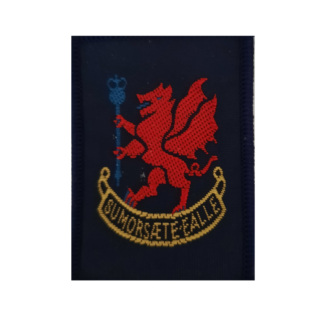 Somerset Badges – Girlguiding Somerset county